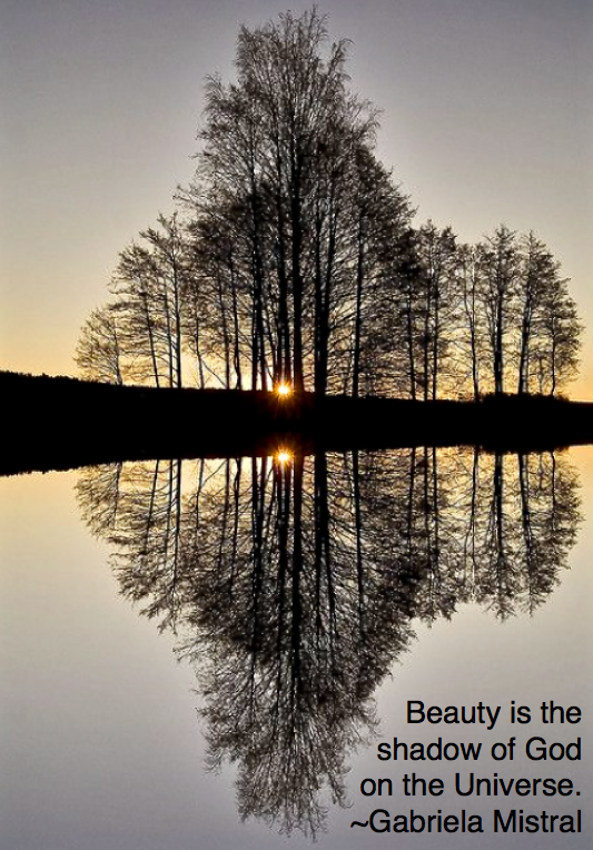 Shadow… | Sacred Touches