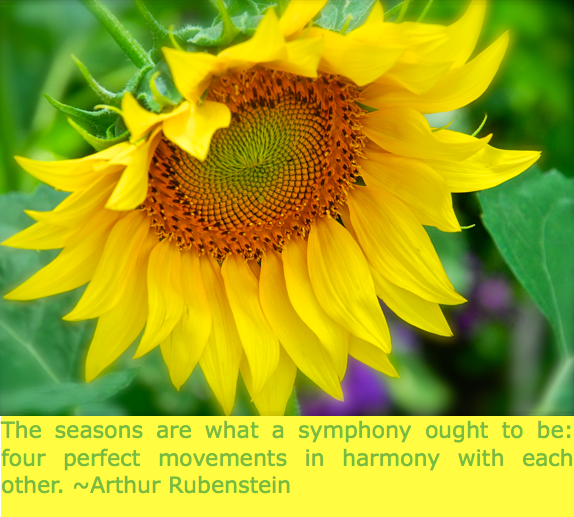 The seasons are… | Sacred Touches