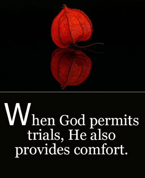When God permits… | Sacred Touches