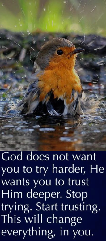 God does not… | Sacred Touches